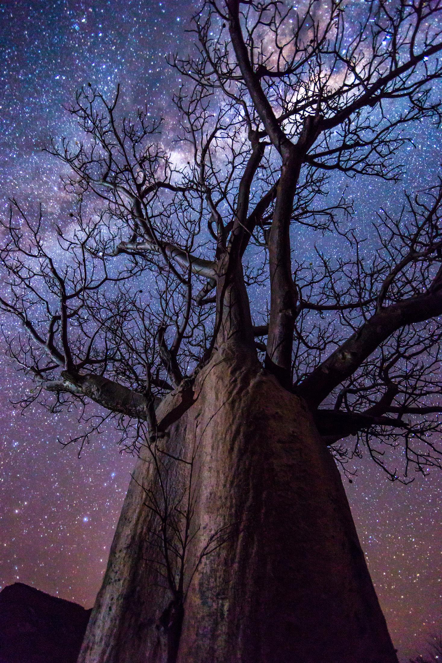 Buy Photo Prints | Ben Broady Kimberley Photographer - Ben Broady