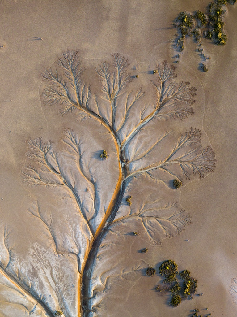 Fractals - Ben Broady