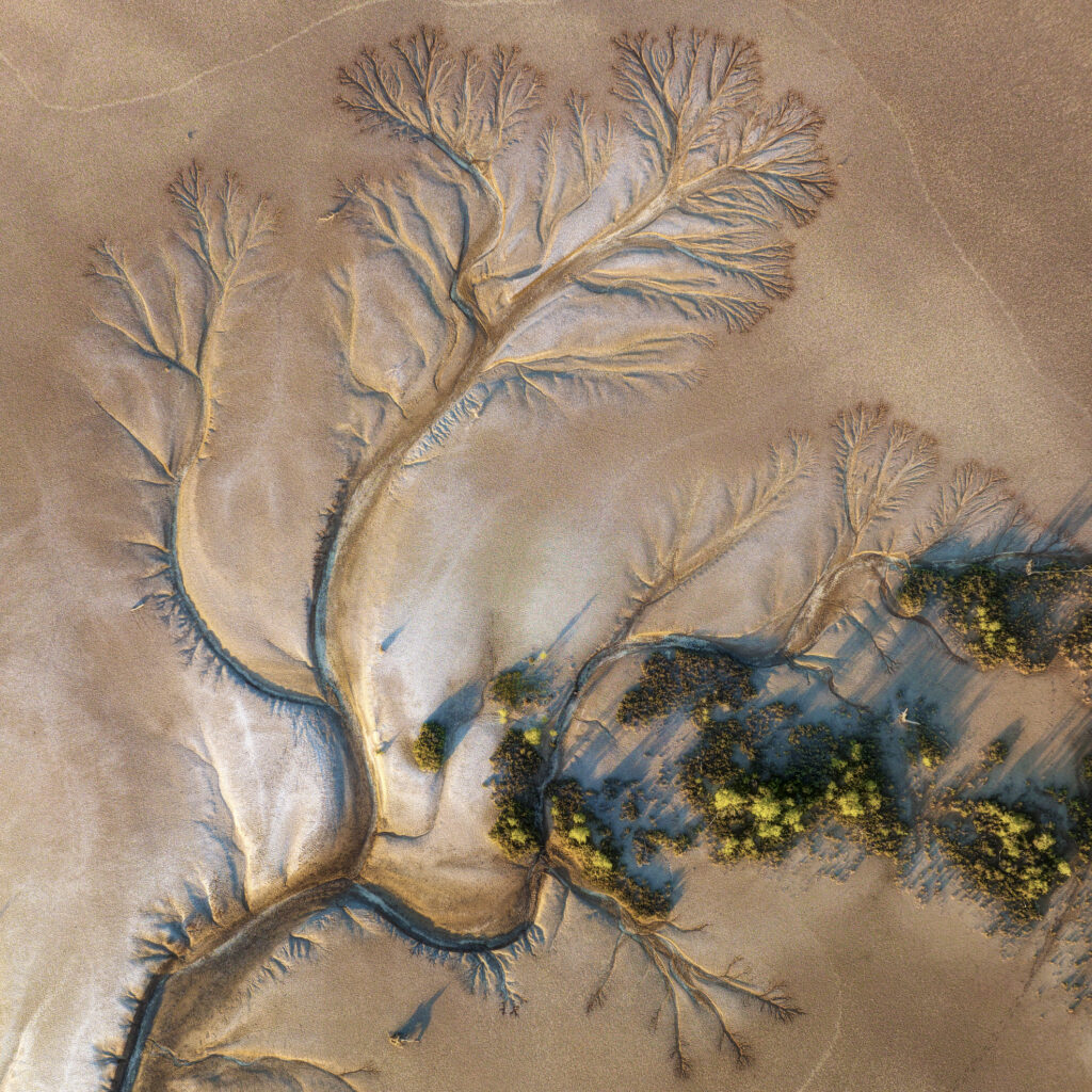 Dendrite - Ben Broady